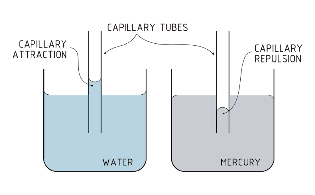 Chemical Engineering: Capillary Action
