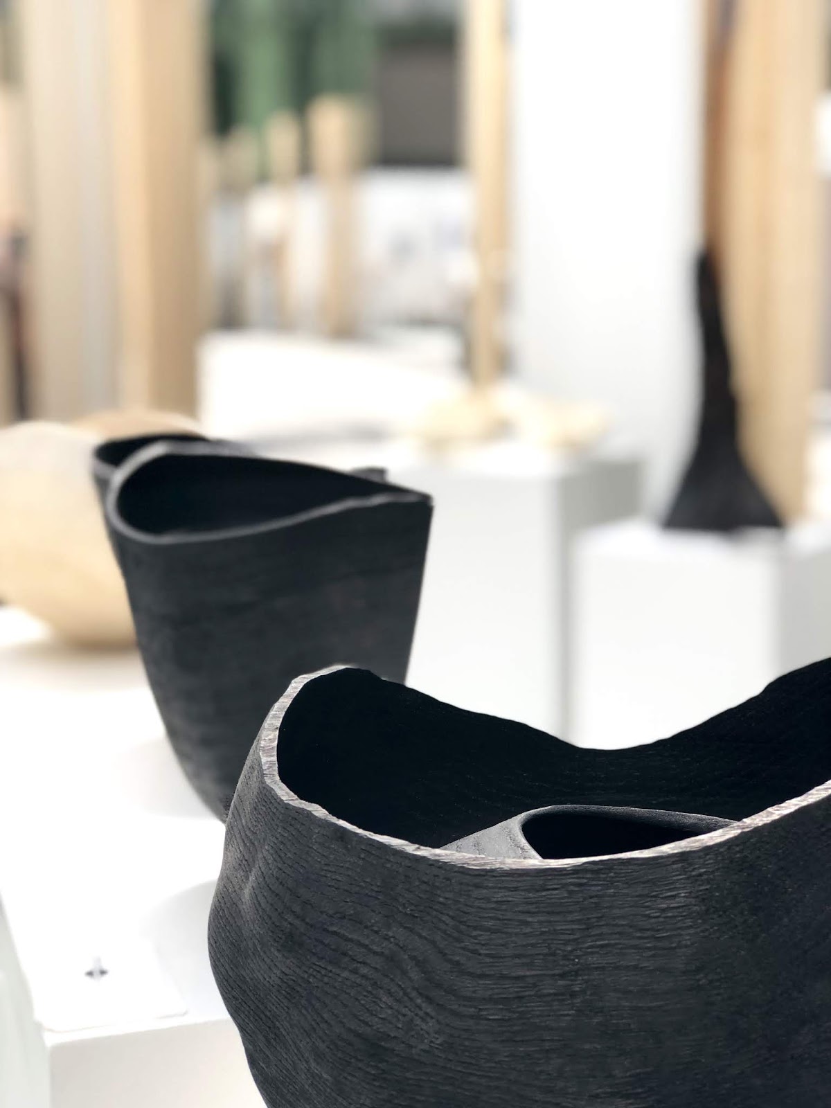 ATELIER RUE VERTE , le blog: Au Grand Palais / Révélations, biennale ...