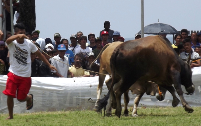 mybeautifulILOILO: Celebrating History and Culture with San Joaquin’s ...