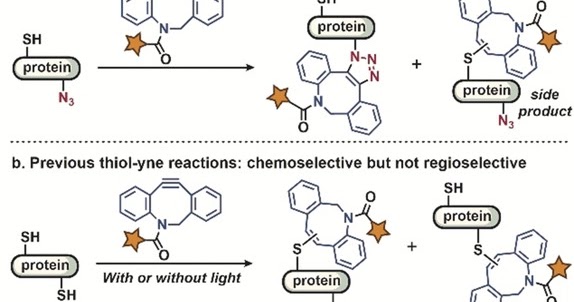 Covalent Modifiers: Site‐Selective Cysteine–Cyclooctyne Conjugation