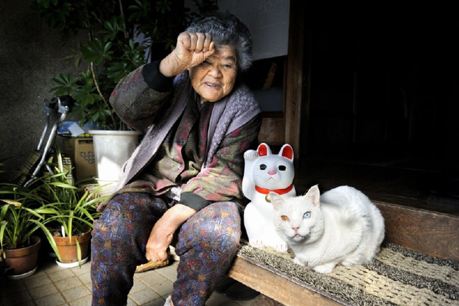 A grandma and her cat (28 pics) | Amazing Creatures