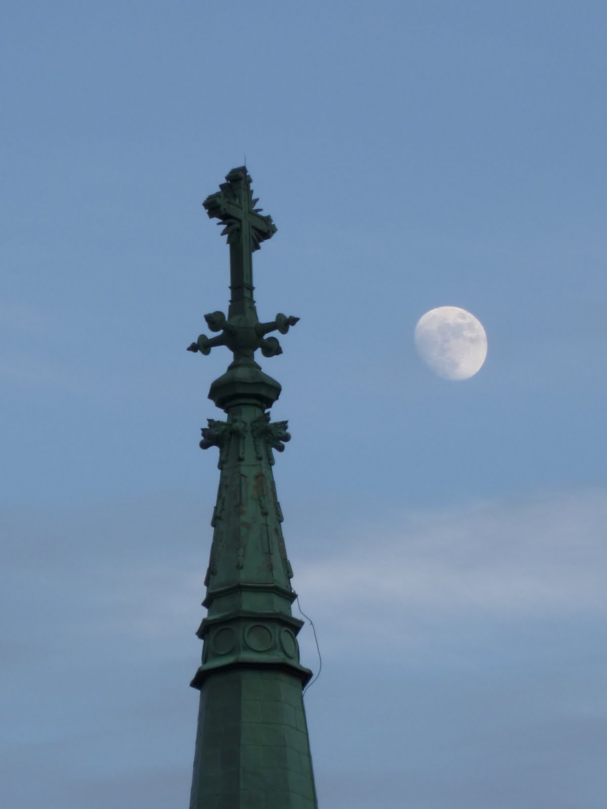 Vicissitudes of the Damned: Issue No. 81: Feather Metsch's Polaroid ...