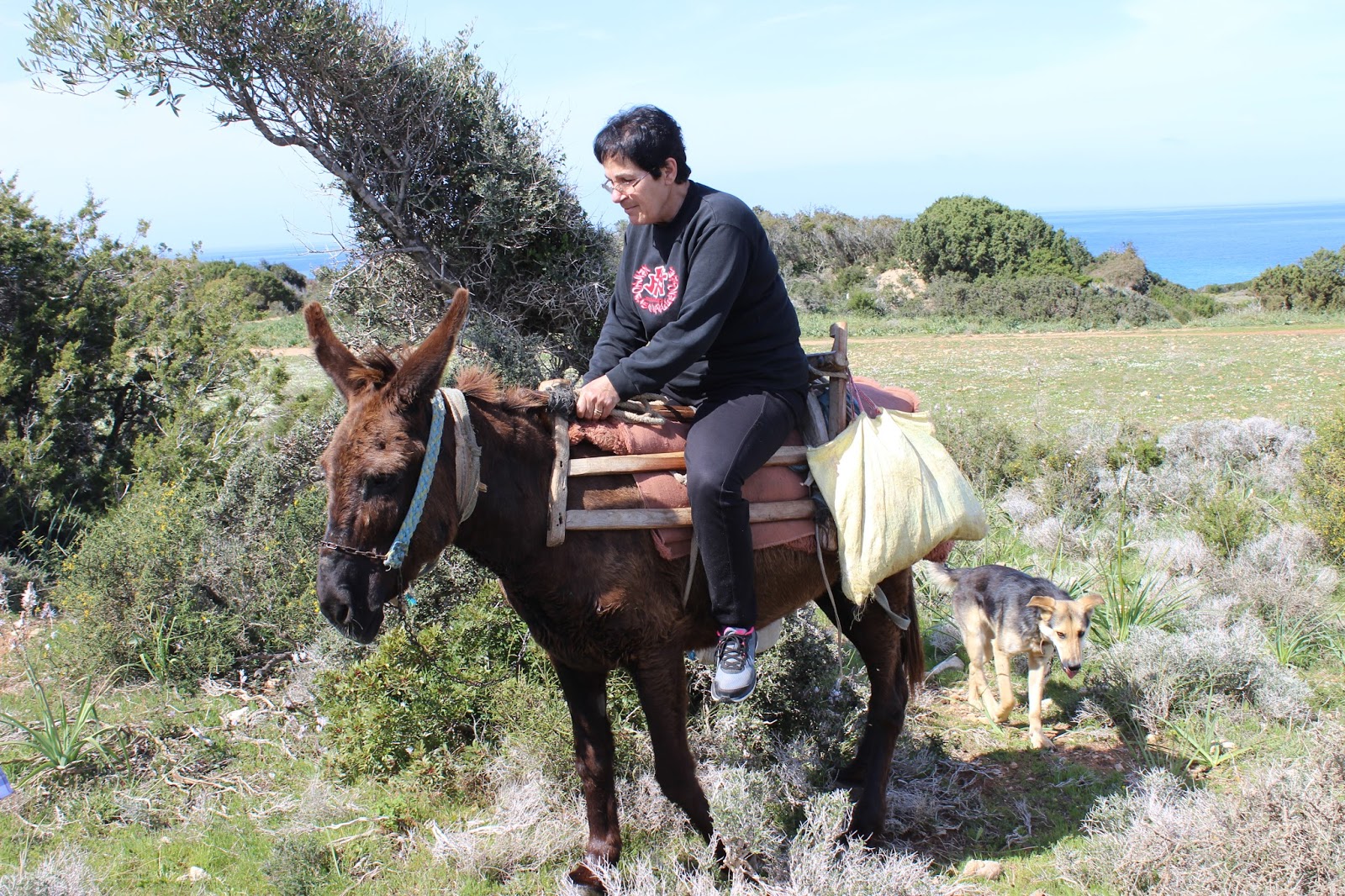 Biodiversity of Cyprus by NGO Protection of the Natural Heritage and ...