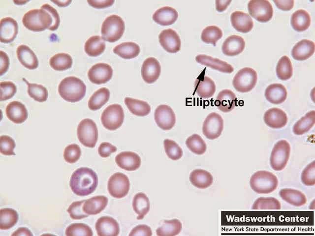 TEMPAT BELAJAR DAN BERBAGI