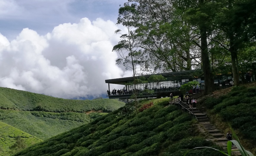 Jalan-Jalan: Cameron Highlands 2018
