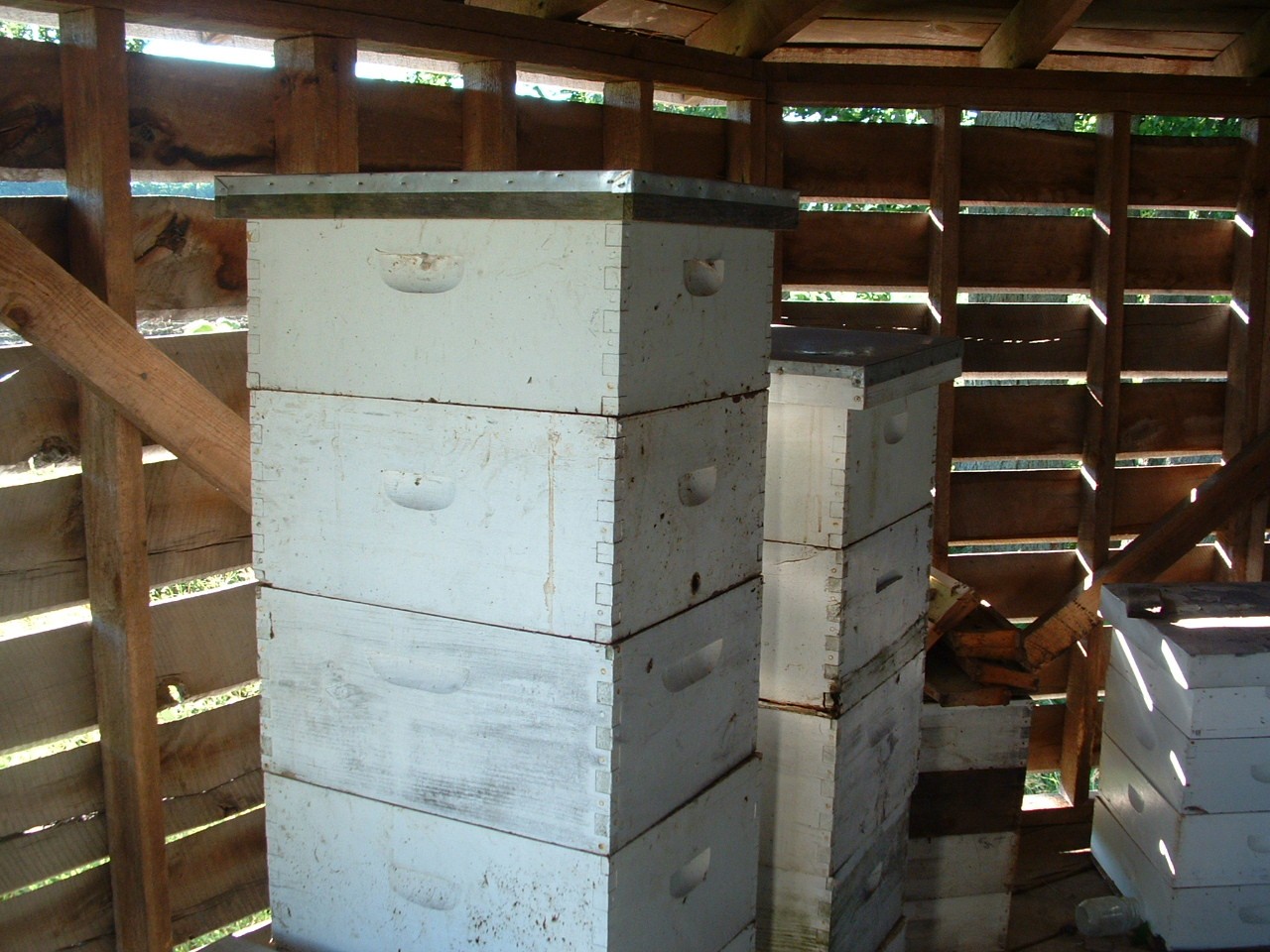 Ohio Microfarm: The Bee Barn - A European style apiary