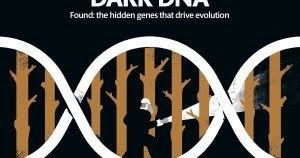 Sandwalk: What is "dark DNA"?