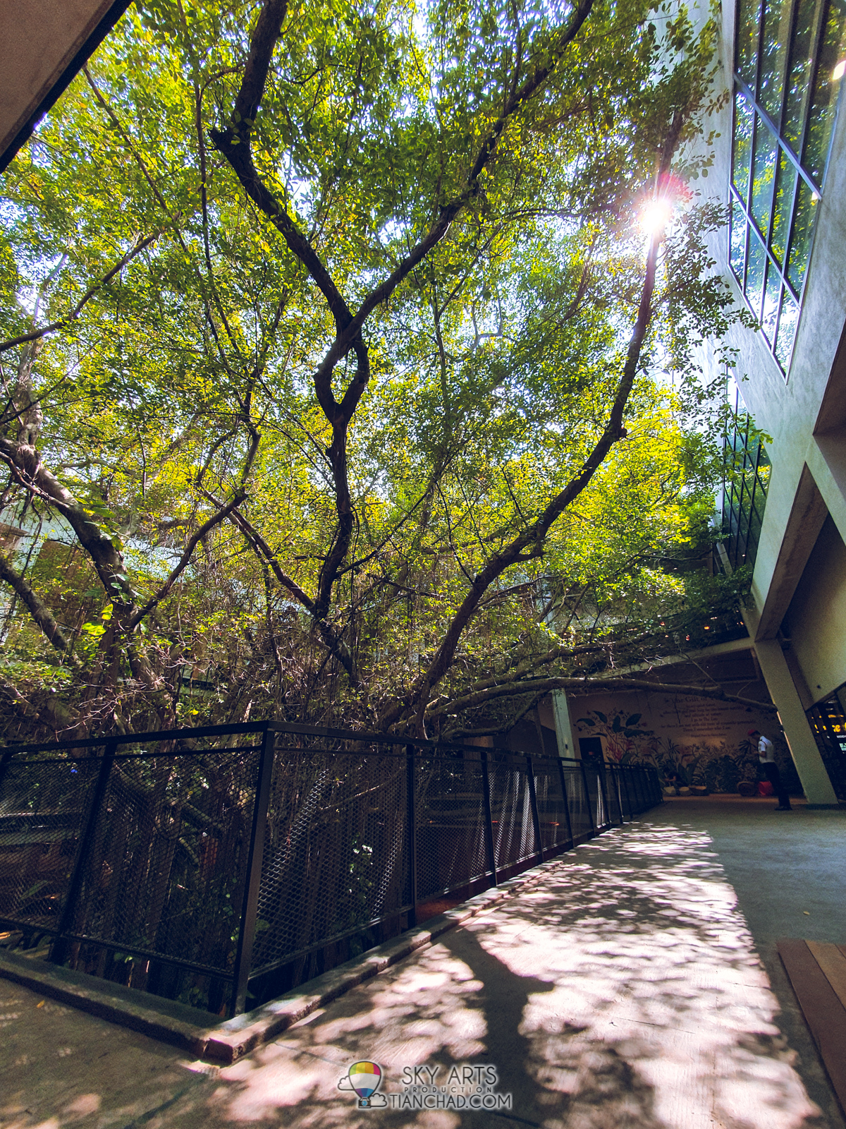 TOP 13 THINGS TO DO IN THE LINC KL #THELINCKL