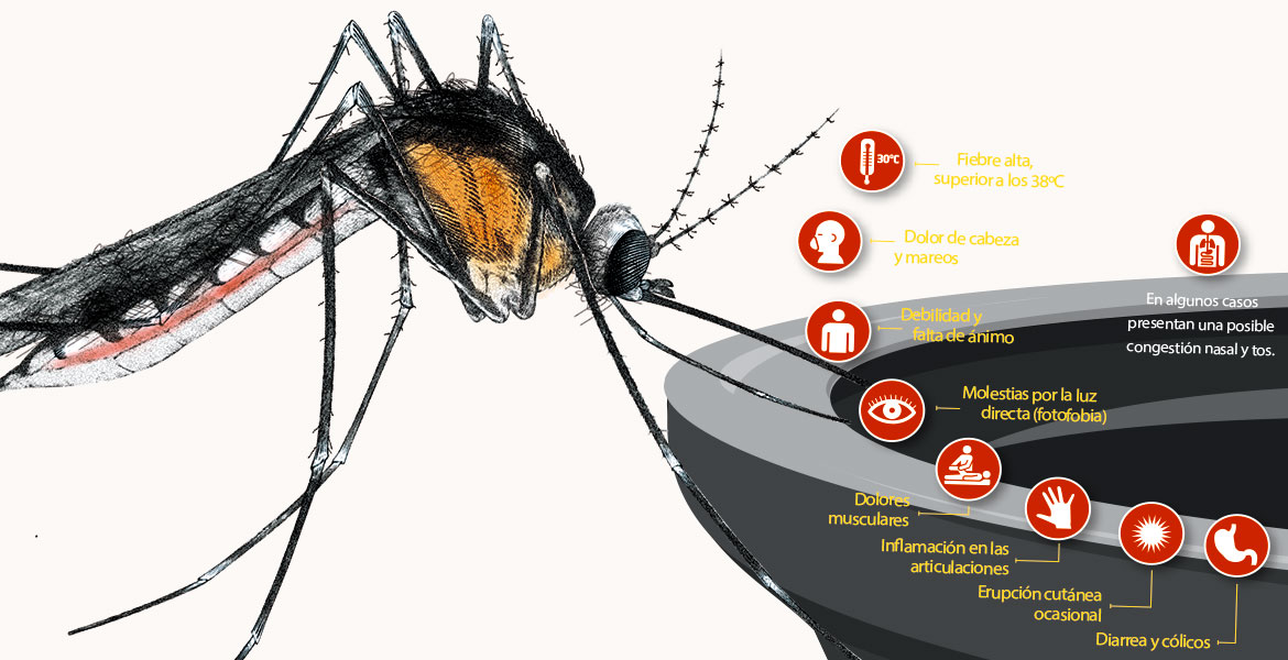 OMS Lanza alerta roja por el virus MAYARO en América Latina