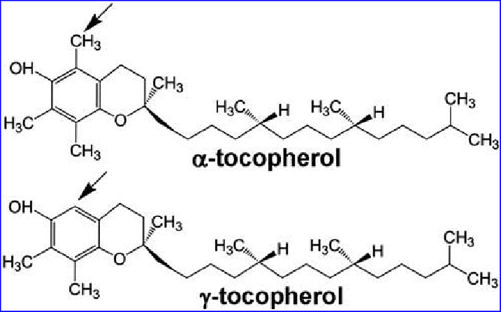 Maynard Life Outdoors and Hidden History of Maynard: Rise and Fall of ...