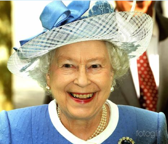 Fran Jurga`s Hoofcare + Lameness: The Royal Thoroughbred Tour: Irish ...