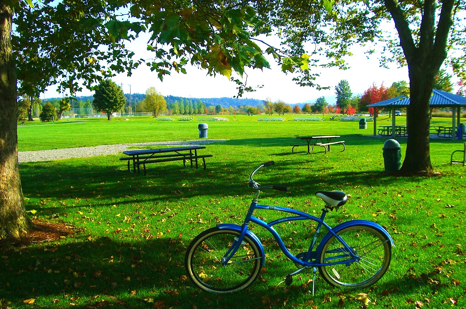 Around Puget Sound and Beyond: Free Bikes -- Marymoor Park -- Redmond, WA