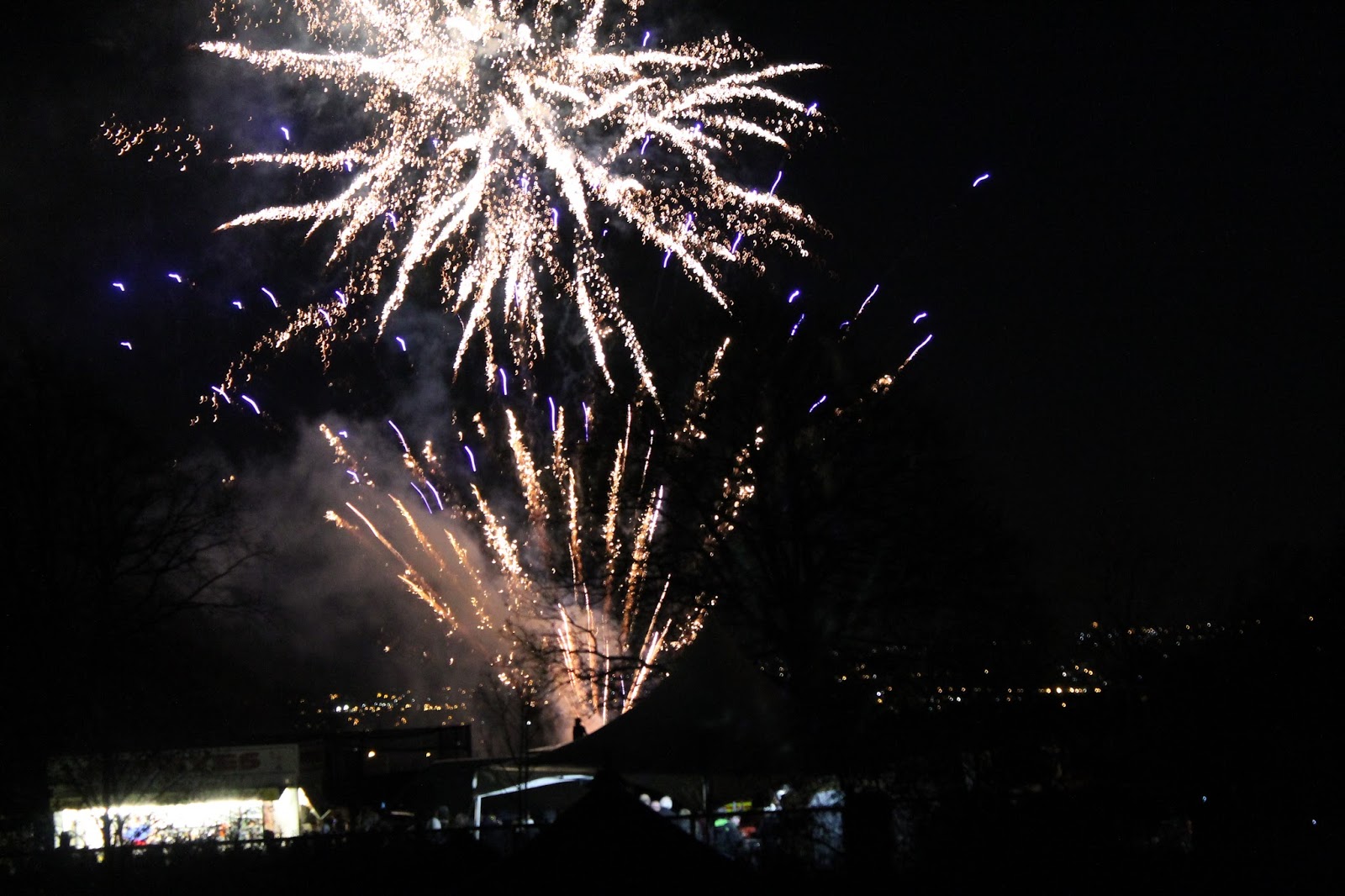 FIRTH PARK COMMUNITY SUMMER & WINTER FUN DAYS