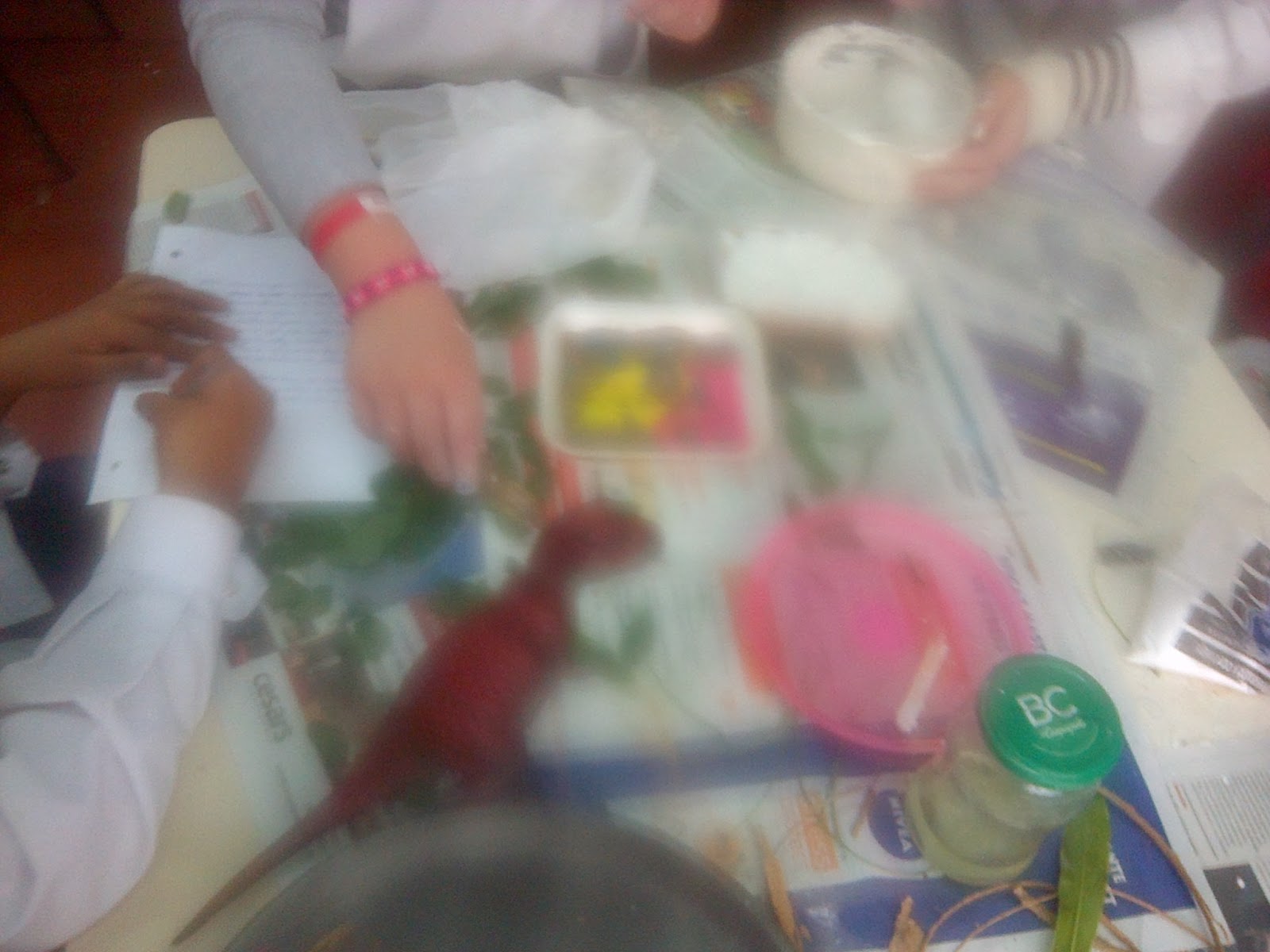 ENS N°1 Sexto grado: ¡Fósiles en el aula de 6to!