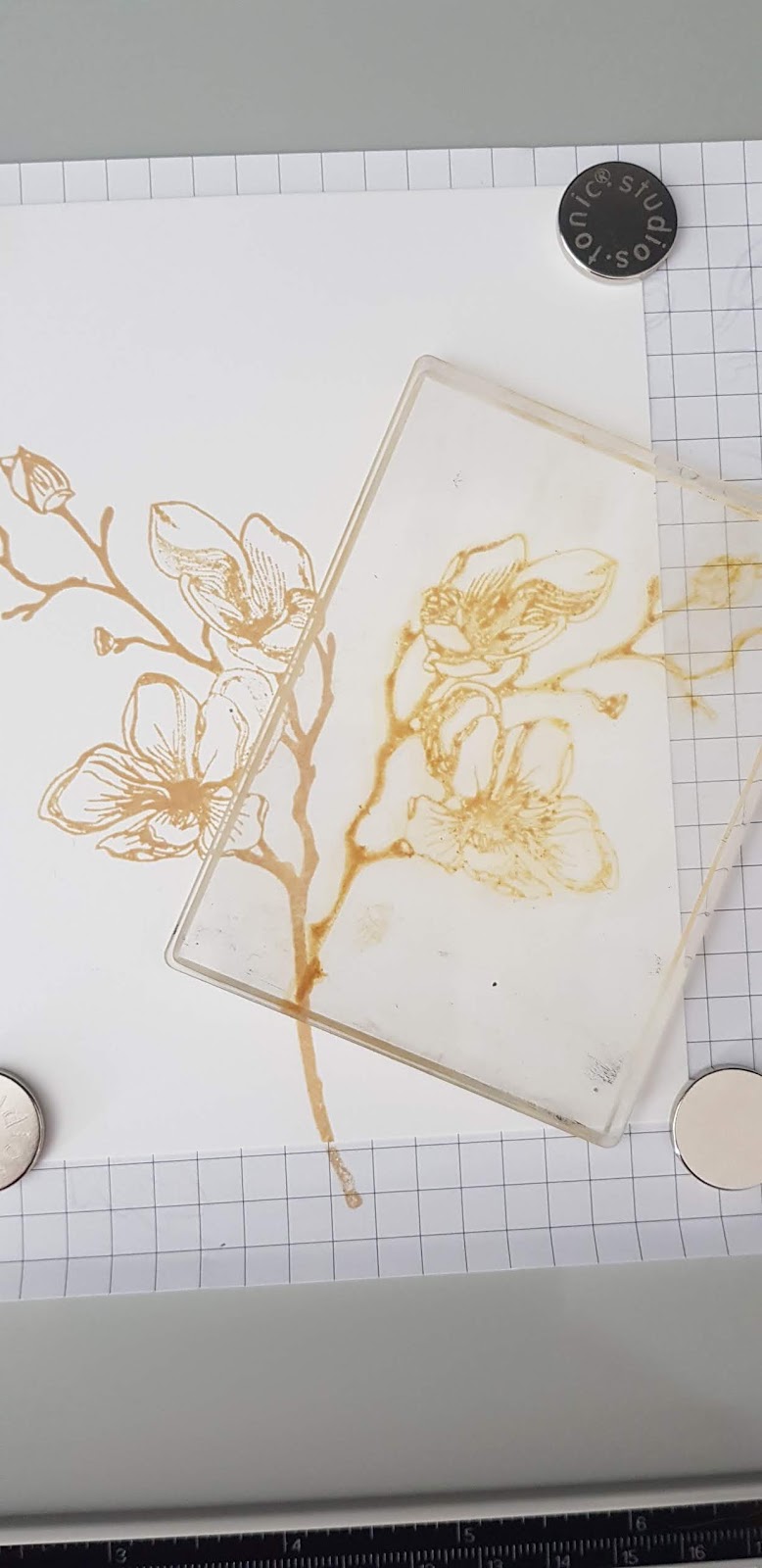 Creative Clark by Alli C: April 2019