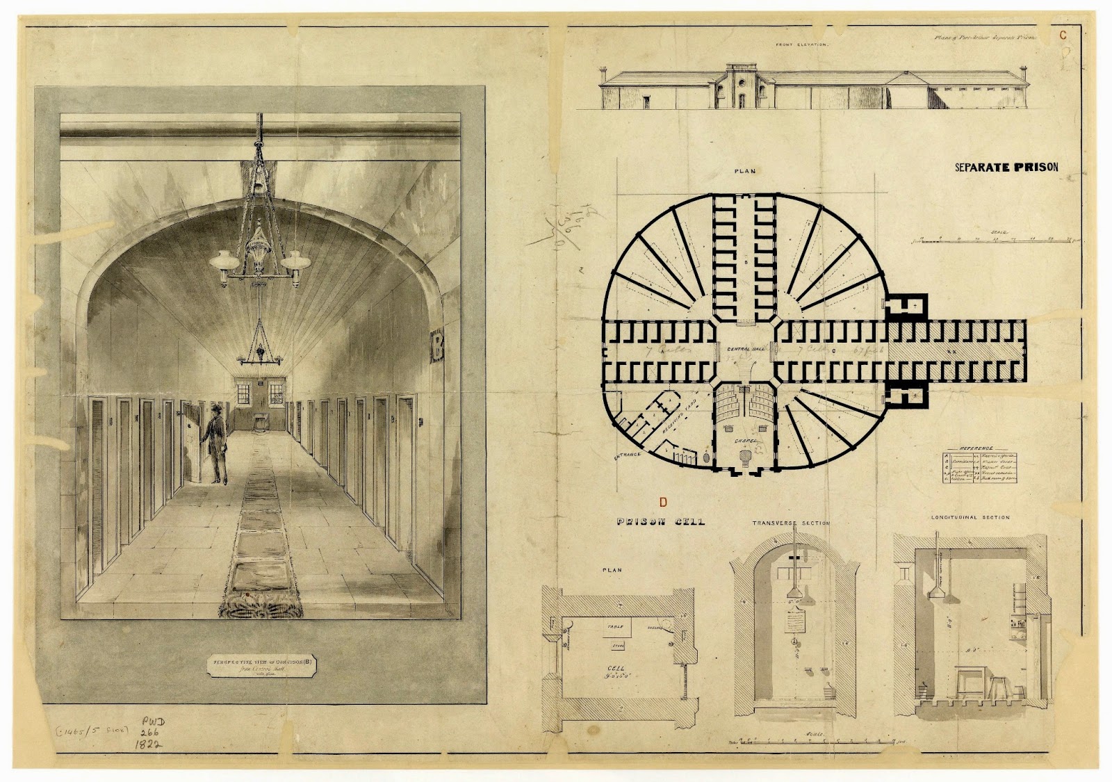 Thomas J. Nevin | Tasmanian Photographer: November 2007
