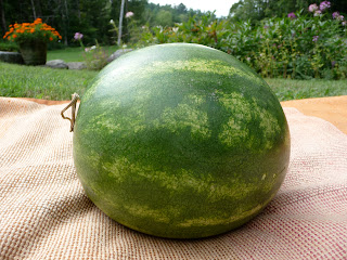 The Occasionist: Watermelon Round-Up!