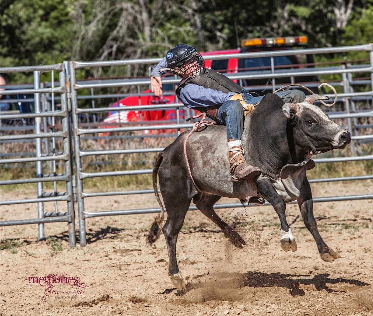 Memories Forever After Photography: Rodeo! Fun w/Fusion!
