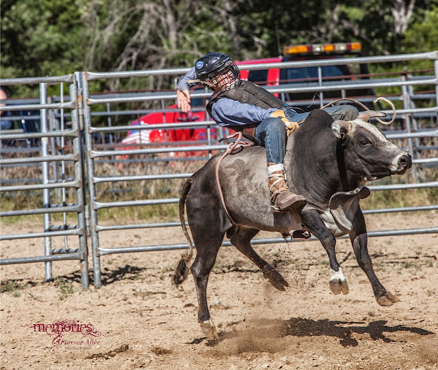 Memories Forever After Photography: Rodeo! Fun w/Fusion!
