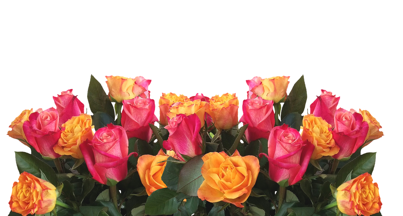 Avaleht Müük Koostöö ja reklaam Aforismid Magus Autorikaitse