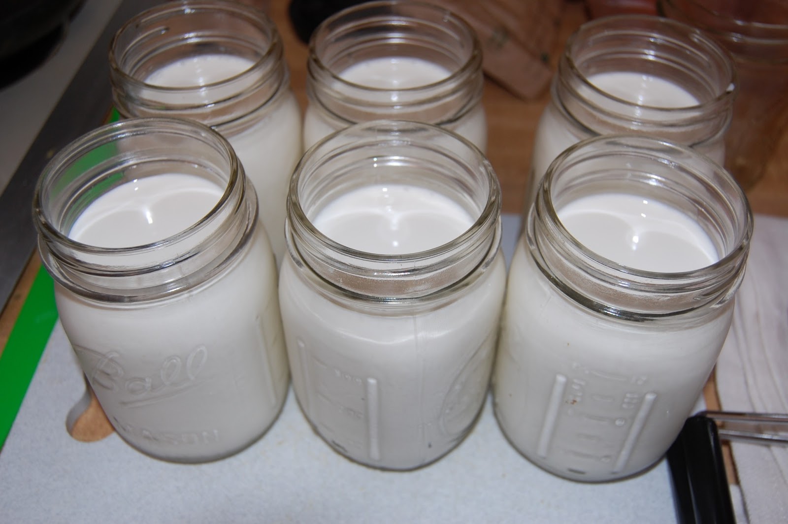 Perky Prepping Gramma: White stuff from cows...