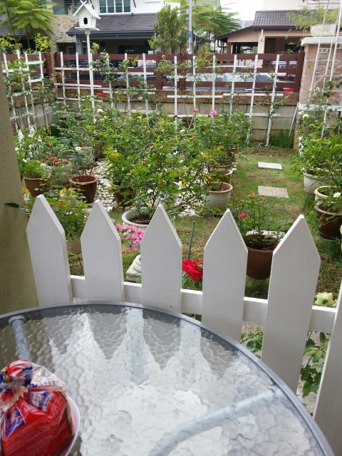 puteri manja: Taman Bunga Ros di ruang kediaman