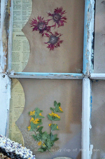 Botanical Window - Have a Daily Cup of Mrs. Olson