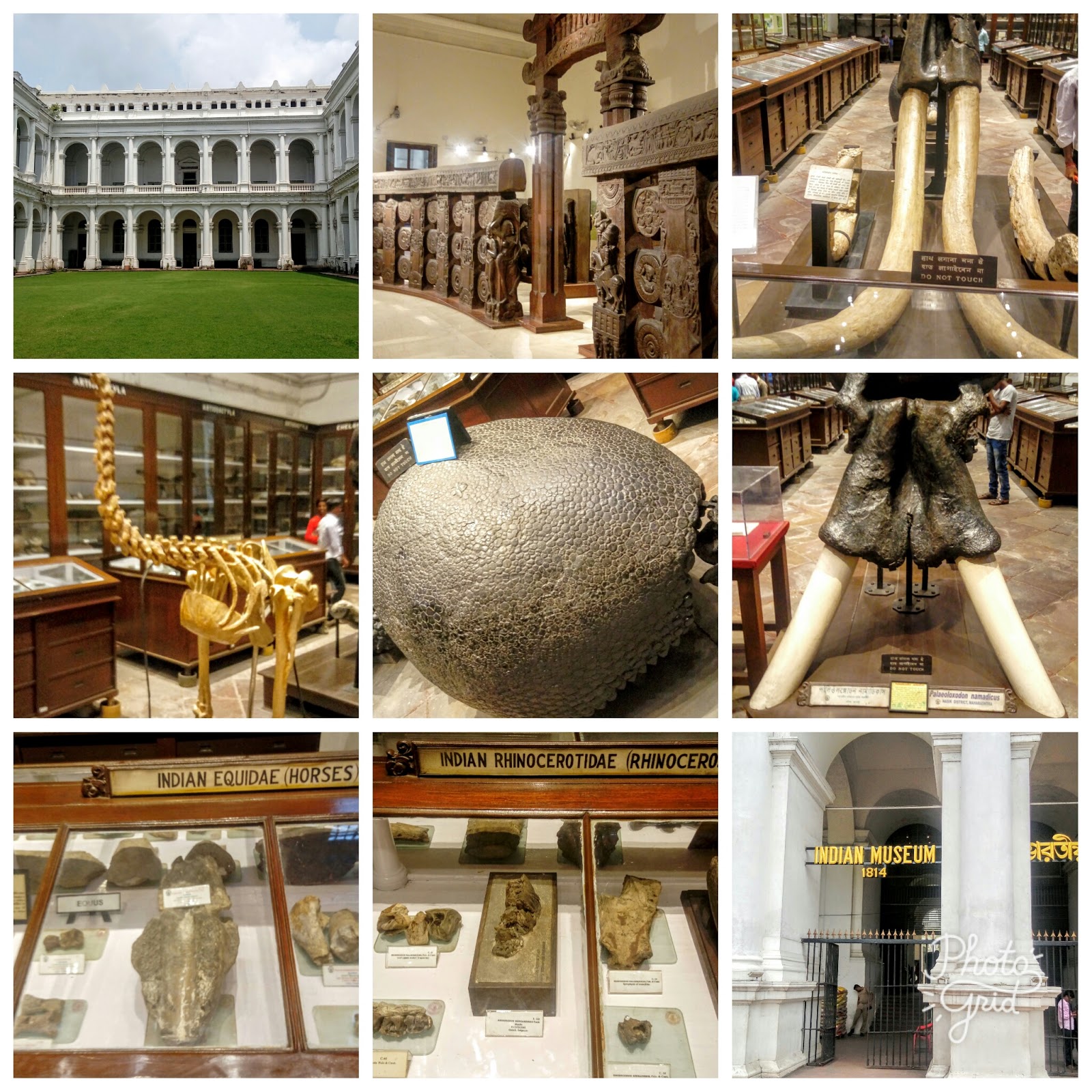 INDIAN MUSEUM