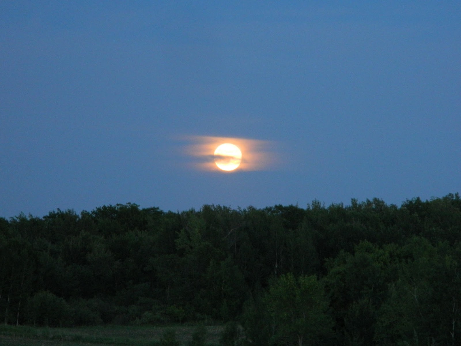 Blogger: Traci LeBrun: Super moon in Minnesota