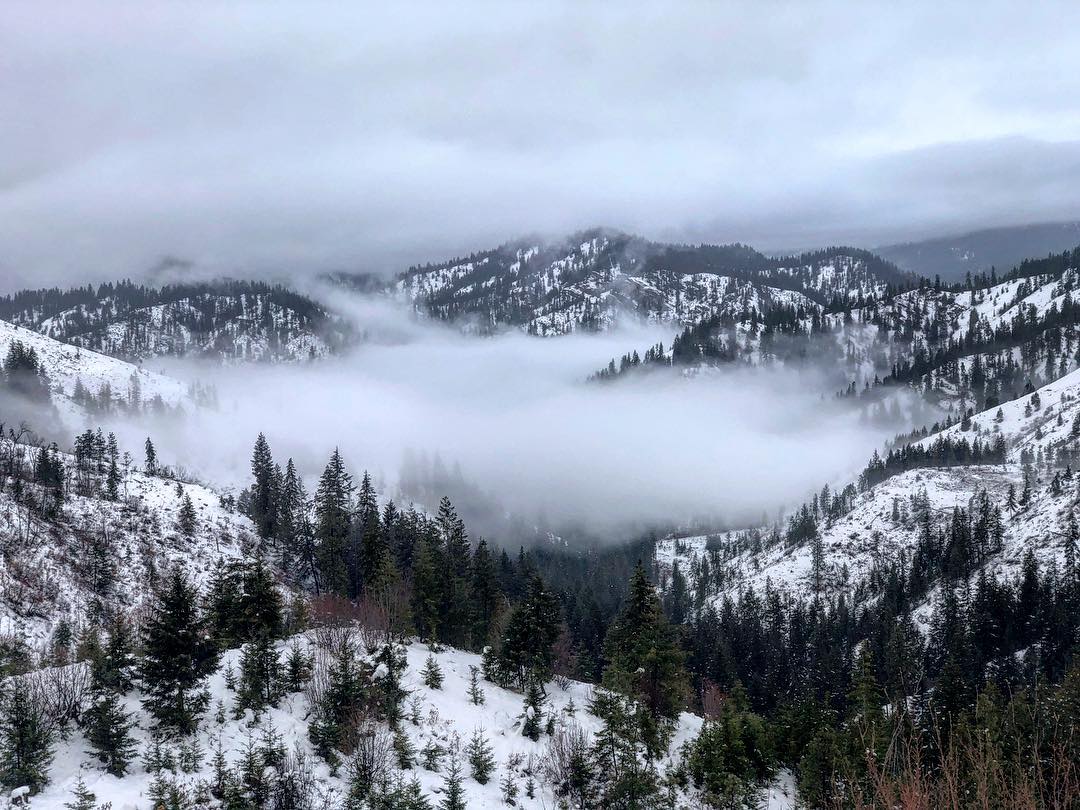 Candice Burt: The Mountain