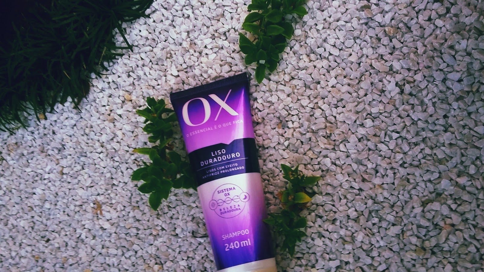 O Shampoo poderoso para ter um - Liso Duradouro - Mona Secrets