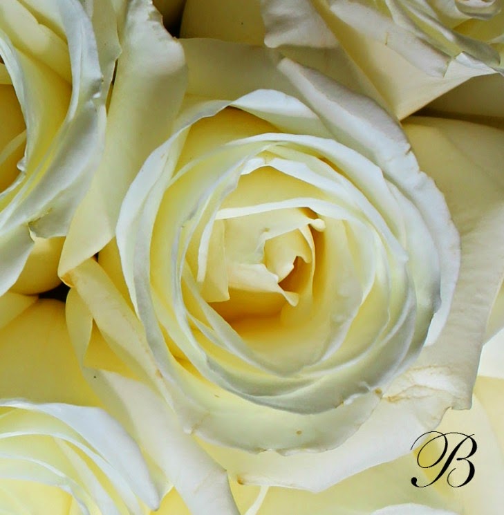 Bank of Flowers: Roses are Red...and Lavender and Yellow and Pink and...