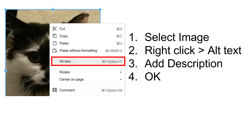 Adding Alt Text just got easier in Google Docs & Slides - >>> Create ...