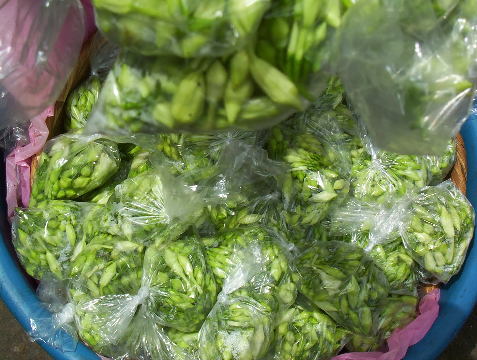 Not all who wander are lost: Yummy Salvadoran food