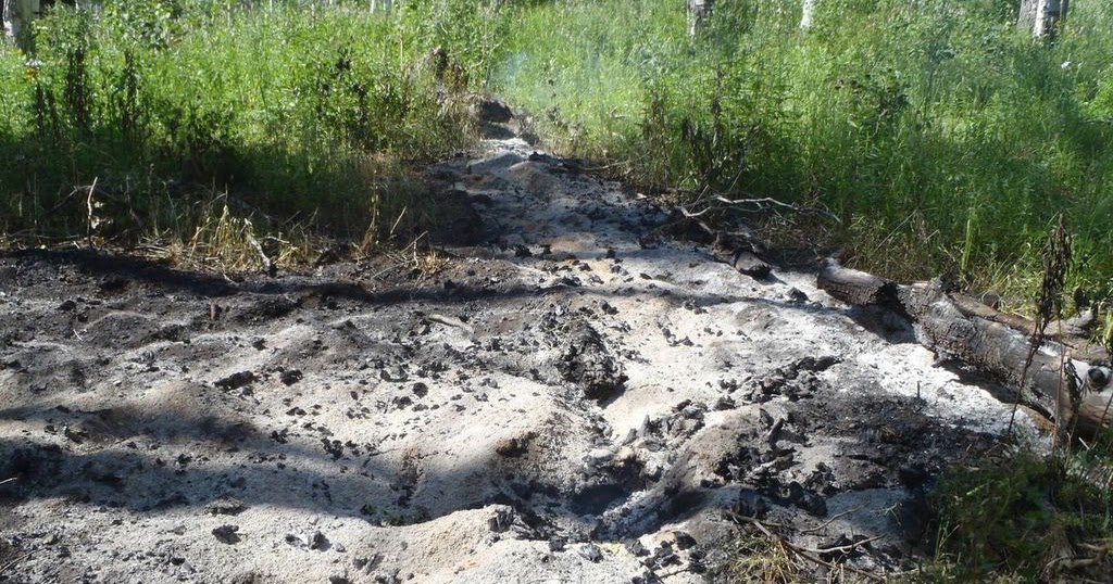 Colorado Emergency Management: Milk Creek Fire Update: July 10