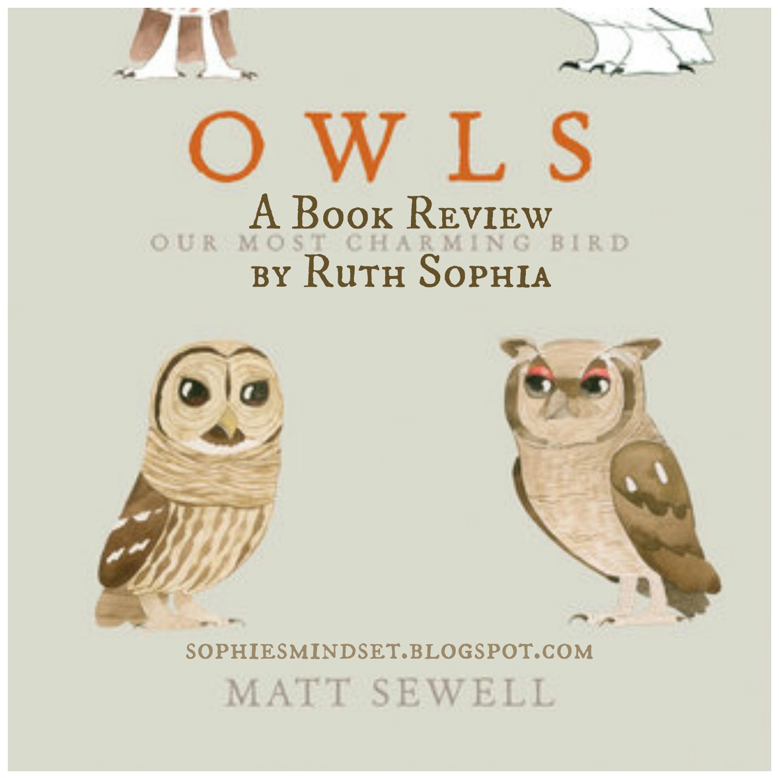 Sophie's Mindset: All about Owls