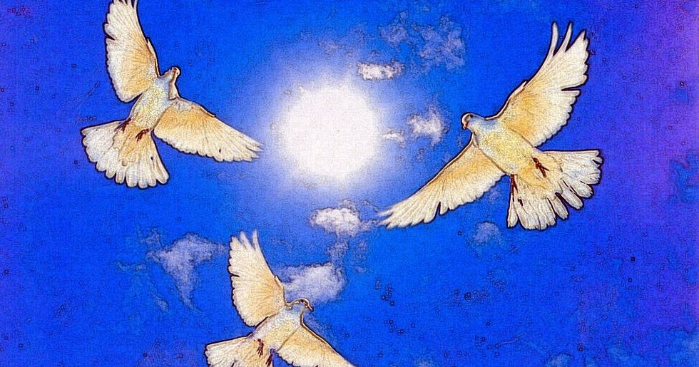 67 Not Out: White Doves Acting As Messengers From The Dead