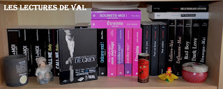 Les Lectures de Val : Adore-Moi ! de Lisa Swann