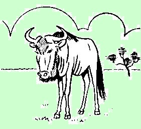 Animal World: What is a GNU?