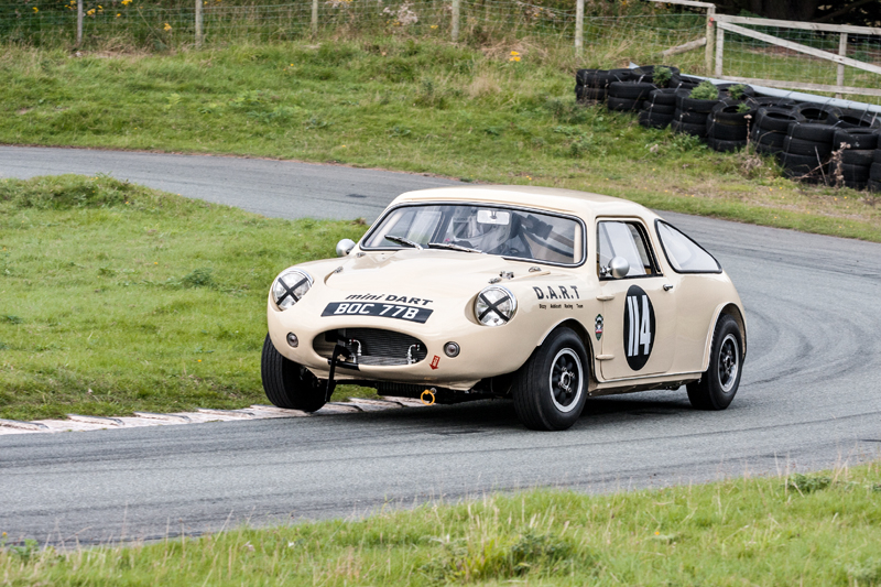 Maximum Mini: DART goes hillclimbing