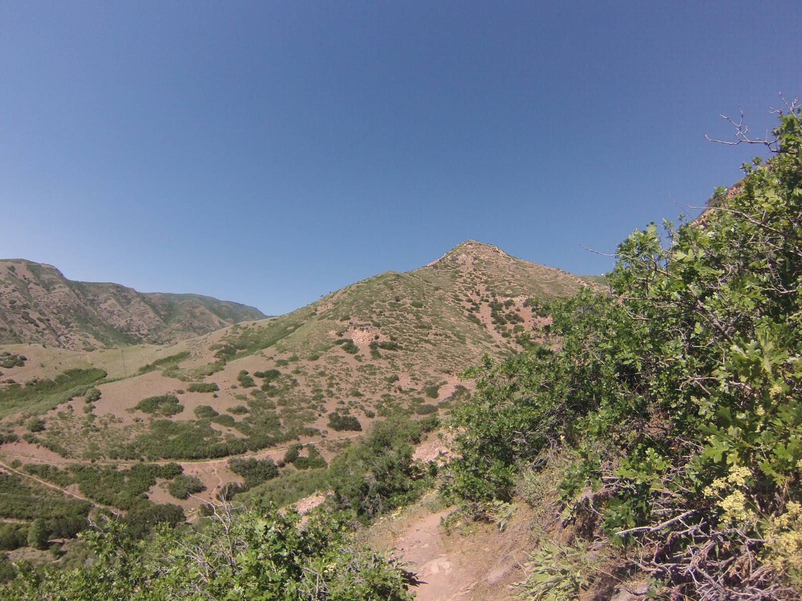Front Range Rambler: University of Utah Trails: Red Butte Peak and ...