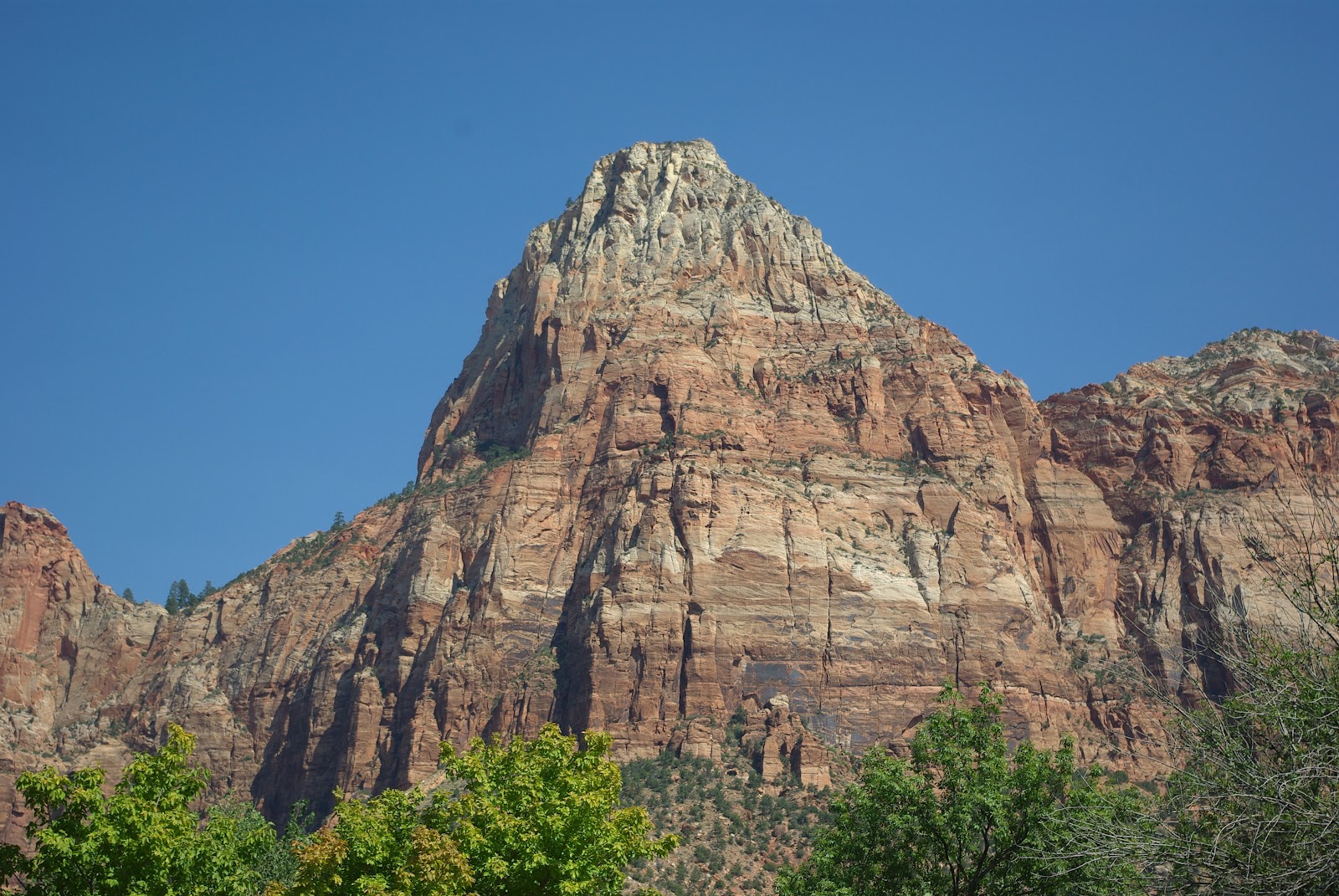 Just A Little Road Trip: Zion National Park