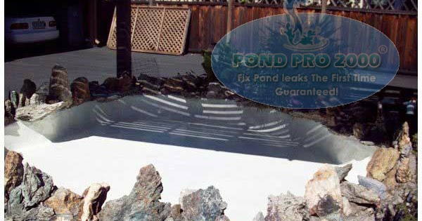 Concrete Pond Coating: Pond paint safe for fish- once and for all
