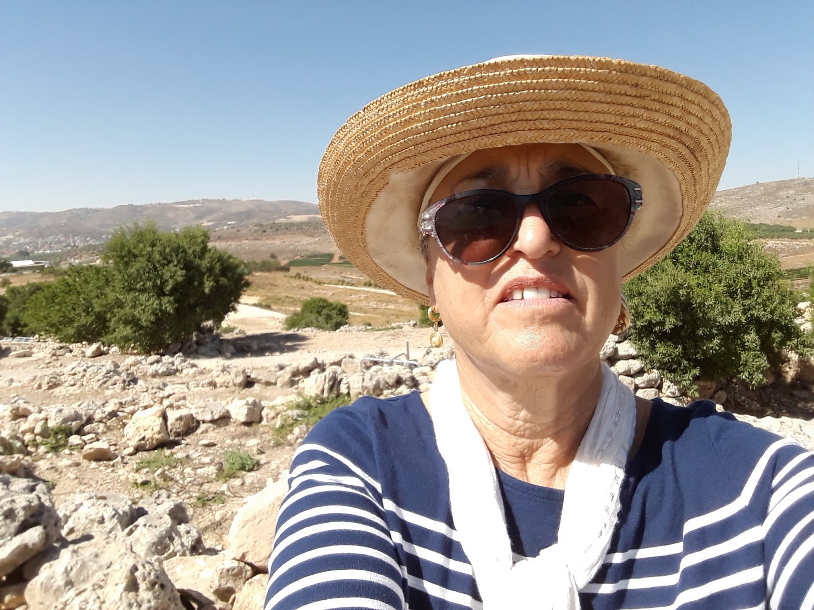 Shiloh Musings: Shiloh, From All Over the World