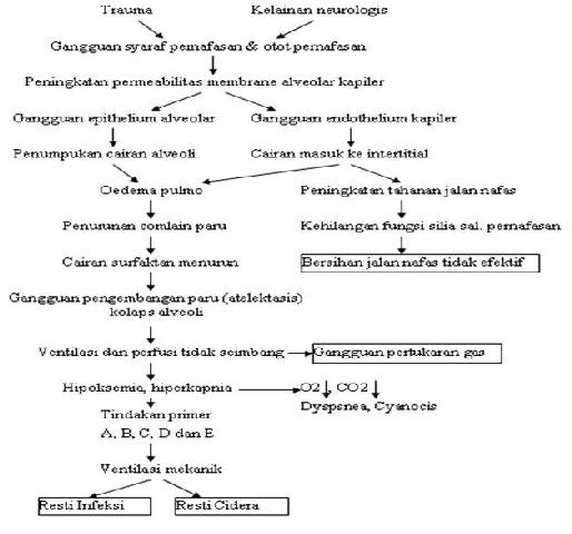 emergency case: ALGORITMA