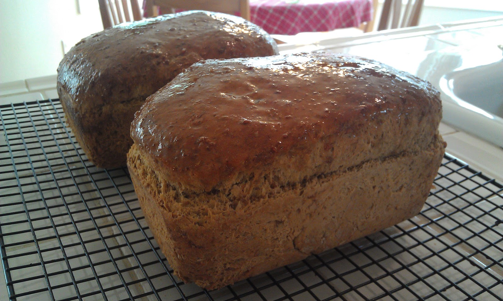 Joyfully Domestic: Sprouted Wheat Bread