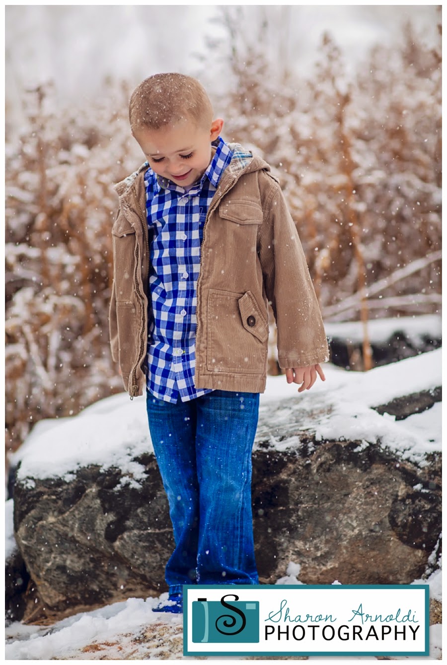 OLD BLOG, NEW BLOG HERE: http://www.sharonarnoldi.com/blog : Highlands ...