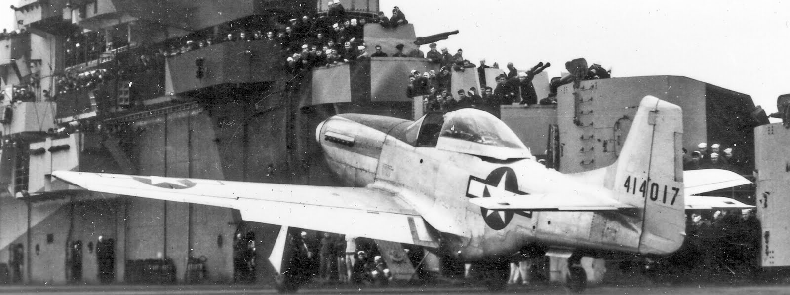 Tailhook Topics: Seahorse