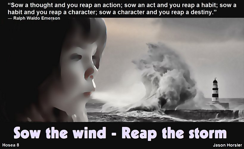 Nutha Jason : Sow Reap Meme