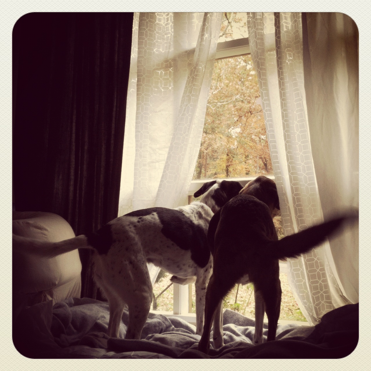 I'm About to Do Stuff.